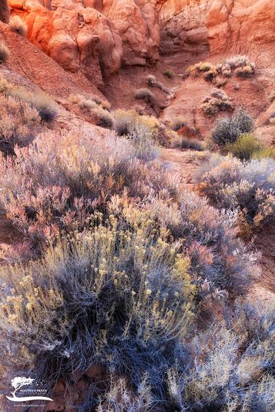 Desert Colors | Kodachrome Basin, Utah | Master's Peace Photography